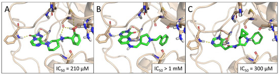Discovery of a Non-Nucleoside SETD2 Methyltransferase Inhibitor against ...