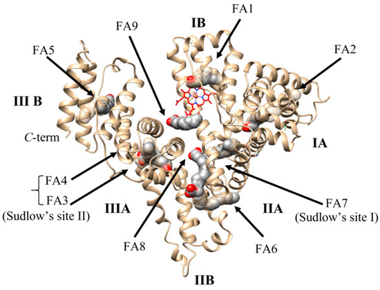 Serum Albumin: A Multifaced Enzyme