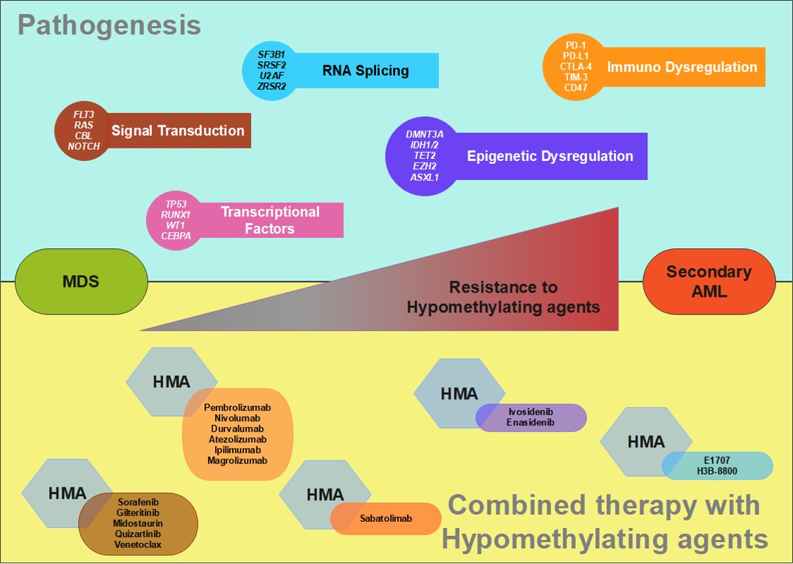 IJMS | Free Full-Text | Molecular Targeted Therapy and Immunotherapy ...