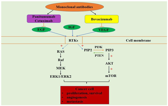 Growth Factors, PI3K/AKT/mTOR and MAPK Signaling Pathways in Colorectal ...