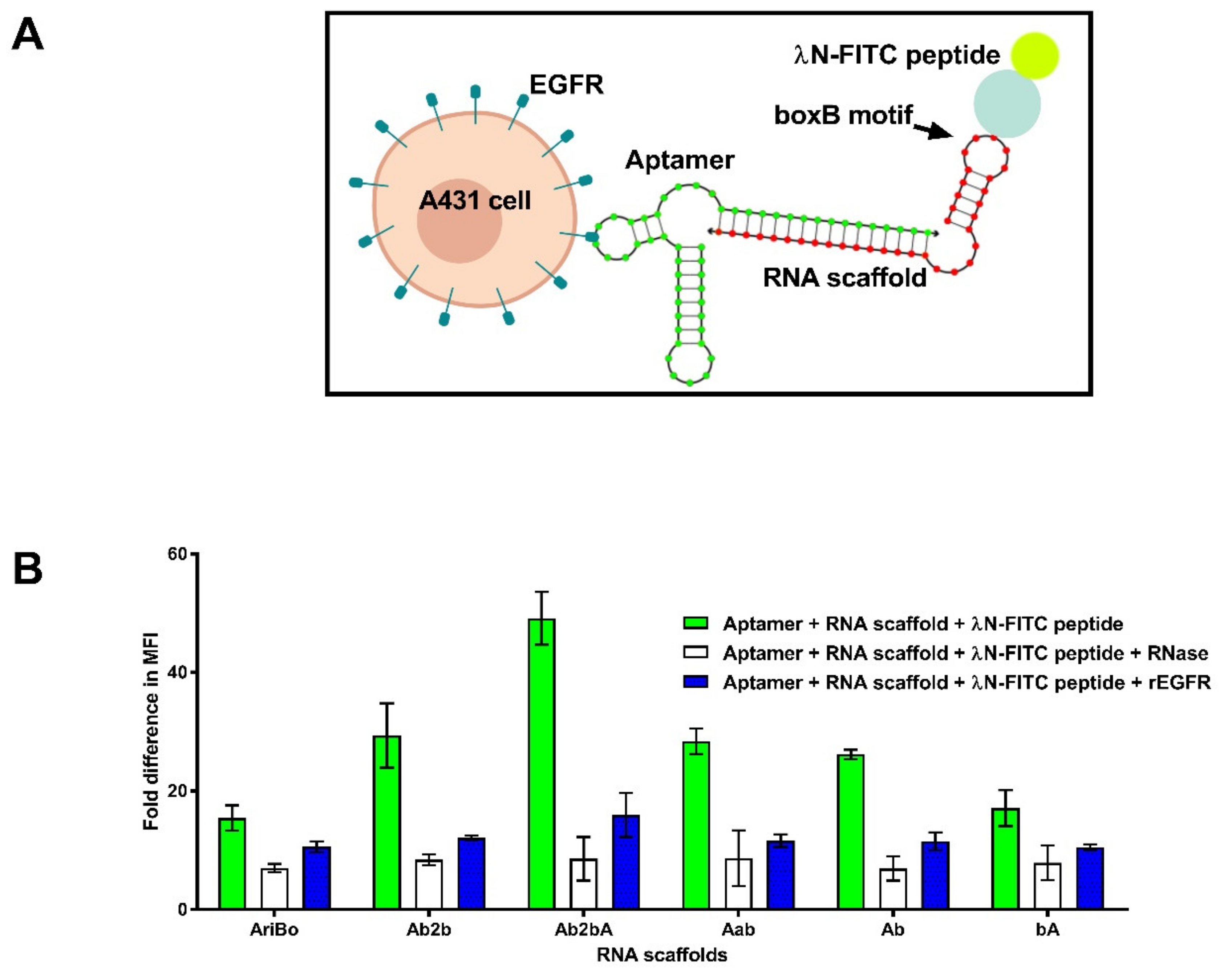 Tagging and Capturing of Lentiviral Vectors Using Short RNAs
