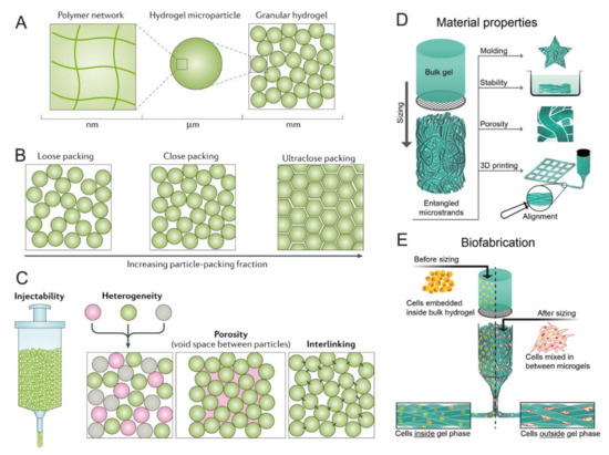 A Review of the Use of Microparticles for Cartilage Tissue Engineering