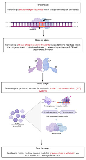 Comparison of the Feasibility, Efficiency, and Safety of Genome Editing ...