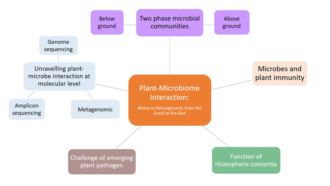 IJMS | Free Full-Text | Plant–Microbe Interaction: Aboveground to ...