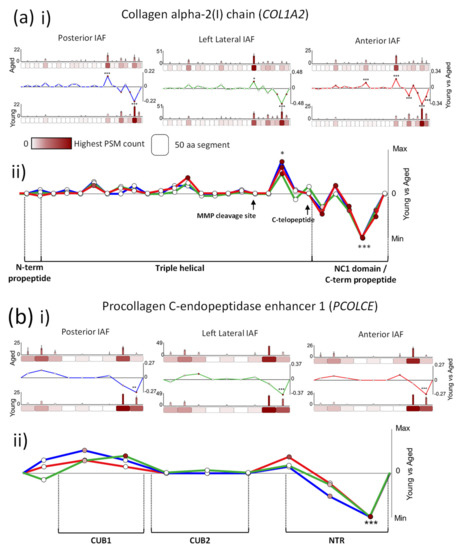 IJMS | Special Issue : Extracellular Matrix Aging, Principles and ...