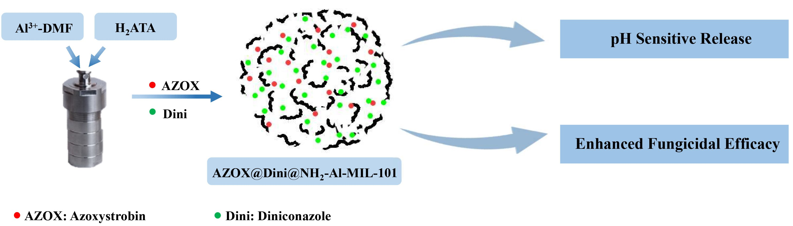 IJMS | Free Full-Text | Enhanced Fungicidal Efficacy by Co-Delivery of ...