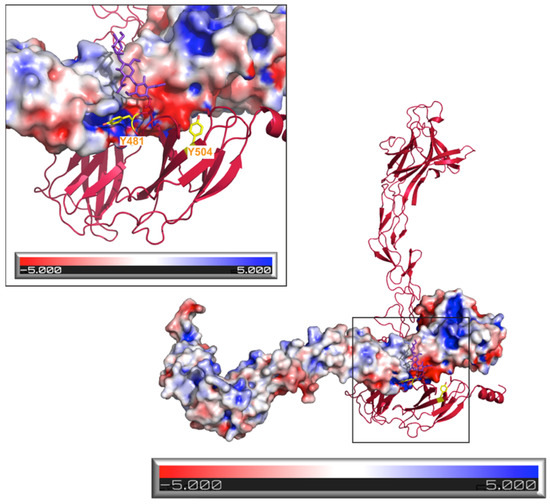 The Ephb2 Receptor Uses Homotypic, Head-to-Tail Interactions within Its ...