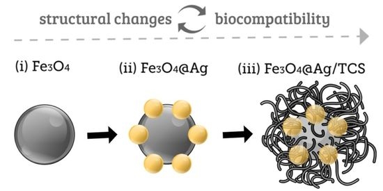 IJMS | Free Full-Text | The Impact of Multiple Functional Layers in the ...