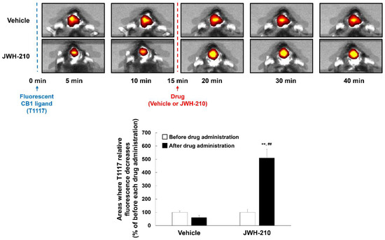 Cannabinoid Receptor Type 1 Regulates Drug Reward Behavior Cannabinoid Receptor Type 1 Regulates Drug Reward Behavior