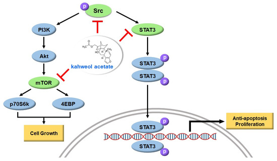 Kahweol Induces Apoptosis in Hepatocellular Carcinoma Cells by ...