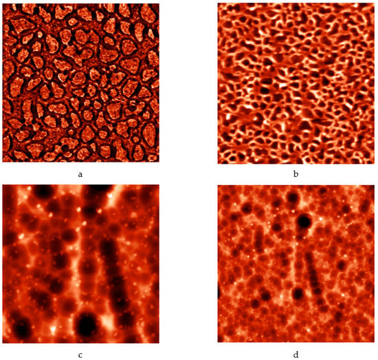Fractal-Percolation Structure Architectonics in Sol-Gel Synthesis