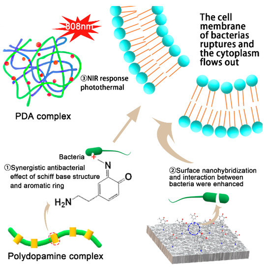 Performance of Polydopamine Complex and Mechanisms in Wound Healing