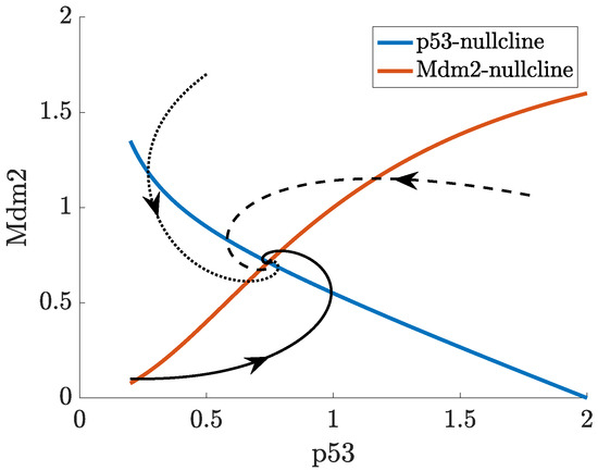 Mathematical Modelling of p53 Signalling during DNA Damage Response: A ...