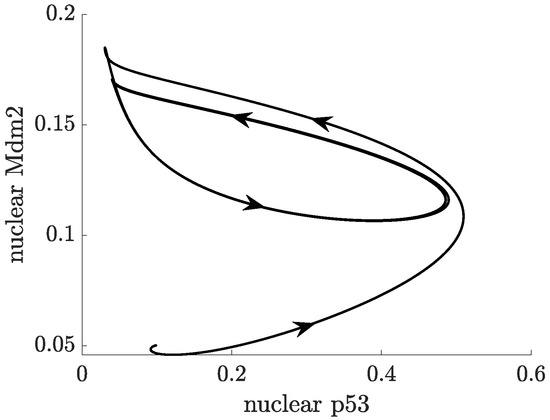 Mathematical Modelling of p53 Signalling during DNA Damage Response: A ...
