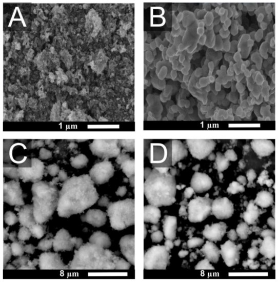 Behaviour of Titanium Dioxide Particles in Artificial Body Fluids and ...