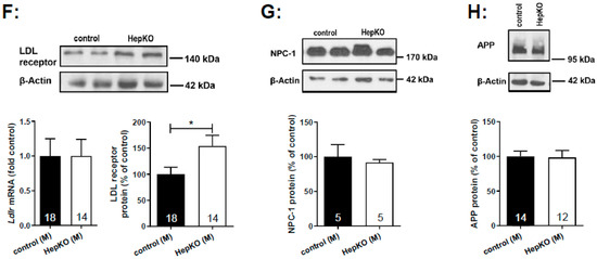 Mouse Liver Compensates Loss of Sgpl1 by Secretion of Sphingolipids ...