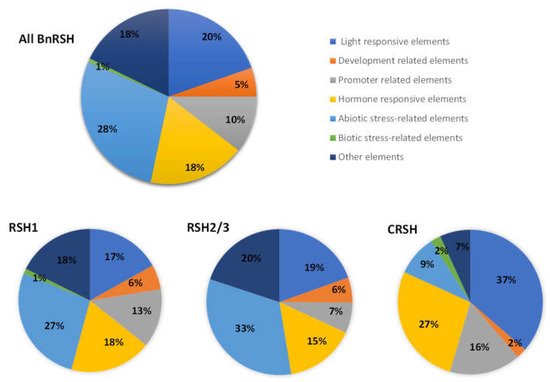In Silico Study of the RSH (RelA/SpoT Homologs) Gene Family and ...