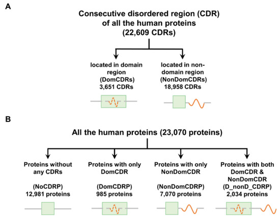 The Distinct Properties of the Consecutive Disordered Regions Inside or ...