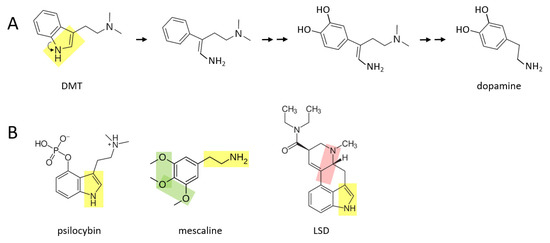 IJMS | Free Full-Text | Many Drugs of Abuse May Be Acutely Transformed ...