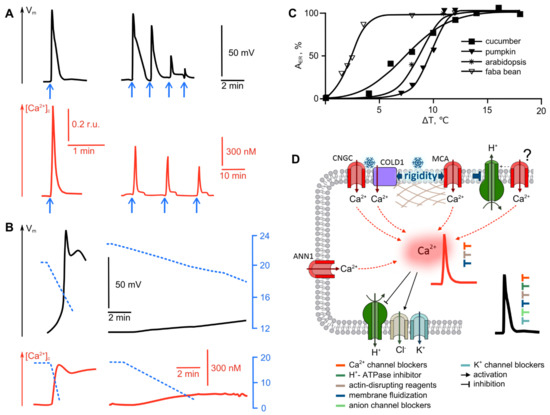 Electrical Signaling of Plants under Abiotic Stressors: Transmission of ...