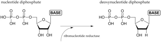Strengths and Weaknesses of Cell Synchronization Protocols Based on ...