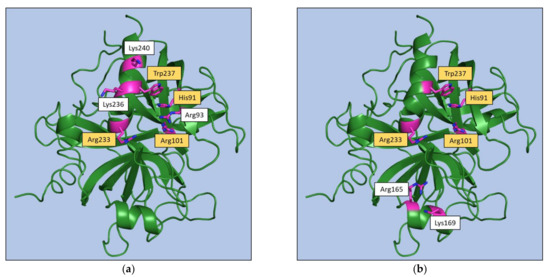 Exosite Binding in Thrombin: A Global Structural/Dynamic Overview of ...