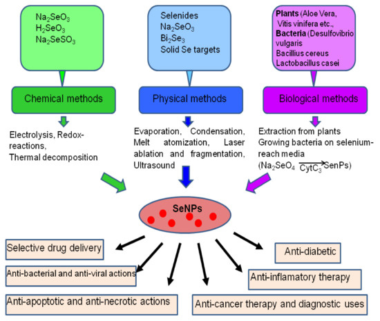 Therapeutic Potential and Main Methods of Obtaining Selenium Nanoparticles