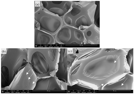 IJMS | Free Full-Text | Vermiculite Filler Modified with Casein ...