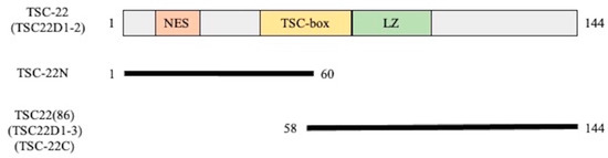 Identification of Binding Proteins for TSC22D1 Family Proteins Using ...