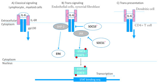 Cytokine Networks in the Pathogenesis of Rheumatoid Arthritis