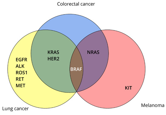 Cancer Therapy Guided by Mutation Tests: Current Status and Perspectives