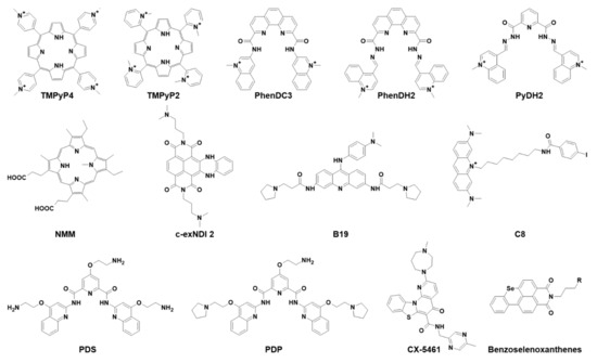 G-Quadruplex Targeting in the Fight against Viruses: An Update