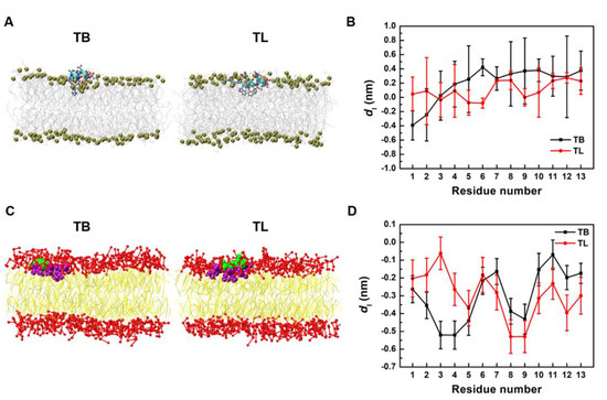 Structure and Formation Mechanism of Antimicrobial Peptides Temporin B ...