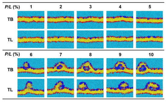Structure and Formation Mechanism of Antimicrobial Peptides Temporin B ...