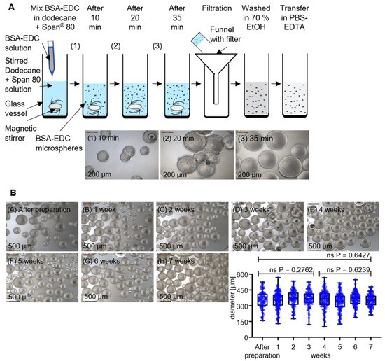 BSA Hydrogel Beads Functionalized with a Specific Aptamer Library for ...