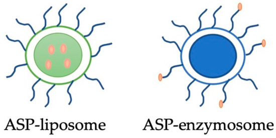 ASP-Enzymosomes with Saccharomyces cerevisiae Asparaginase II Expressed ...