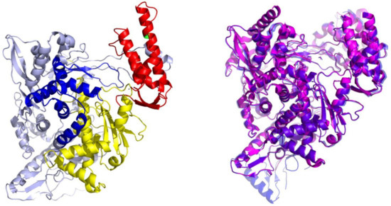 Potential Novel Thioether-Amide or Guanidine-Linker Class of SARS-CoV-2 ...