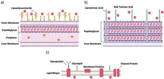 Host Defense Peptides: Dual Antimicrobial and Immunomodulatory Action