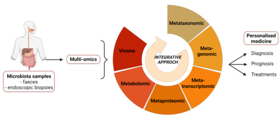 Multi-Omics Analysis of Gut Microbiota in Inflammatory Bowel Diseases ...