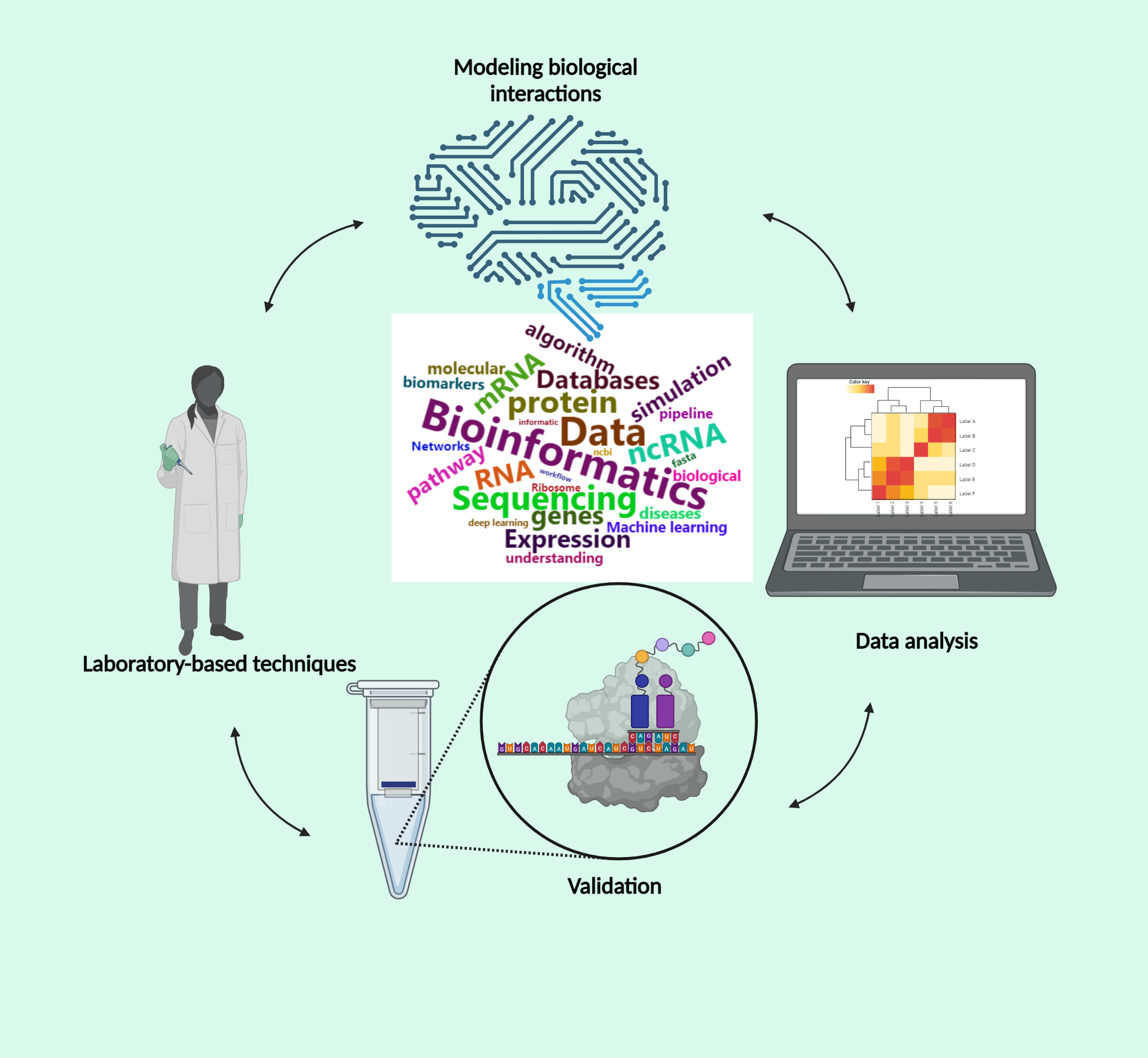 IJMS | Free Full-Text | Bioinformatic Tools for the Analysis and ...