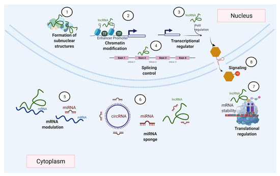 IJMS | Free Full-Text | Bioinformatic Tools for the Analysis and ...