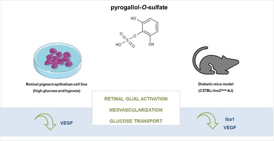 IJMS | Free Full-Text | Polyphenol Metabolite Pyrogallol-O-Sulfate ...