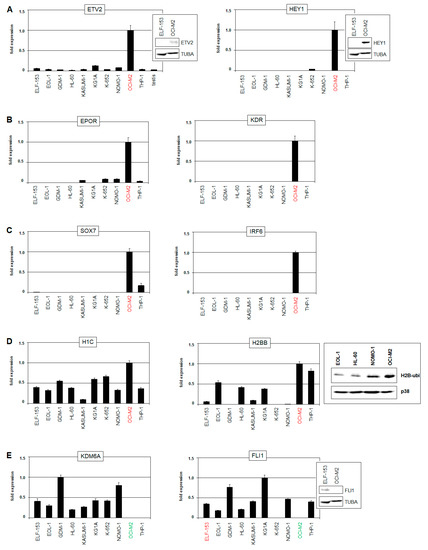 IJMS | Special Issue : Transcriptional Regulation and Its Misregulation ...