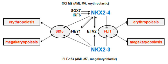 IJMS | Special Issue : Transcriptional Regulation and Its Misregulation ...