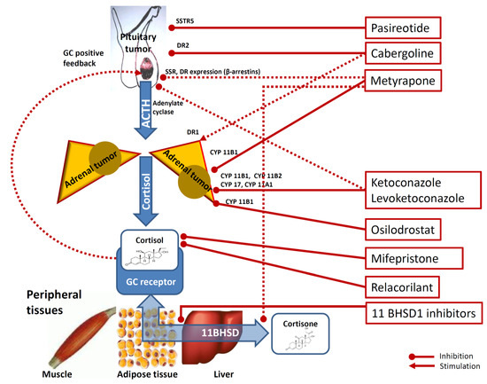 IJMS | Free Full-Text | Management and Medical Therapy of Mild ...