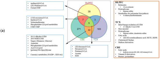 Revealing the Molecular Mechanisms of Alzheimer’s Disease Based on ...
