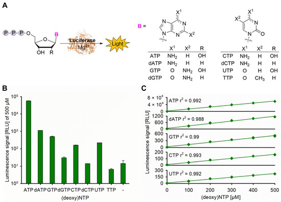 Semi-Automated High-Throughput Substrate Screening Assay for Nucleoside ...