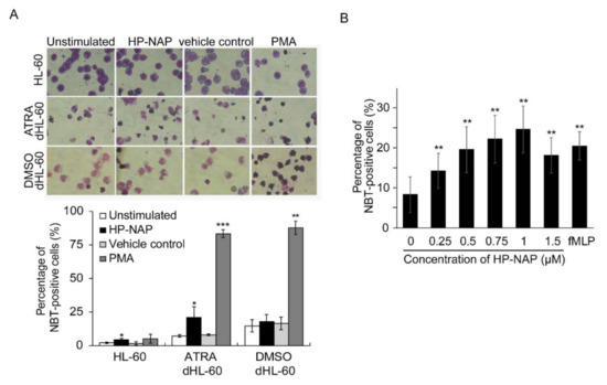 Helicobacter pylori Neutrophil-Activating Protein Directly Interacts ...
