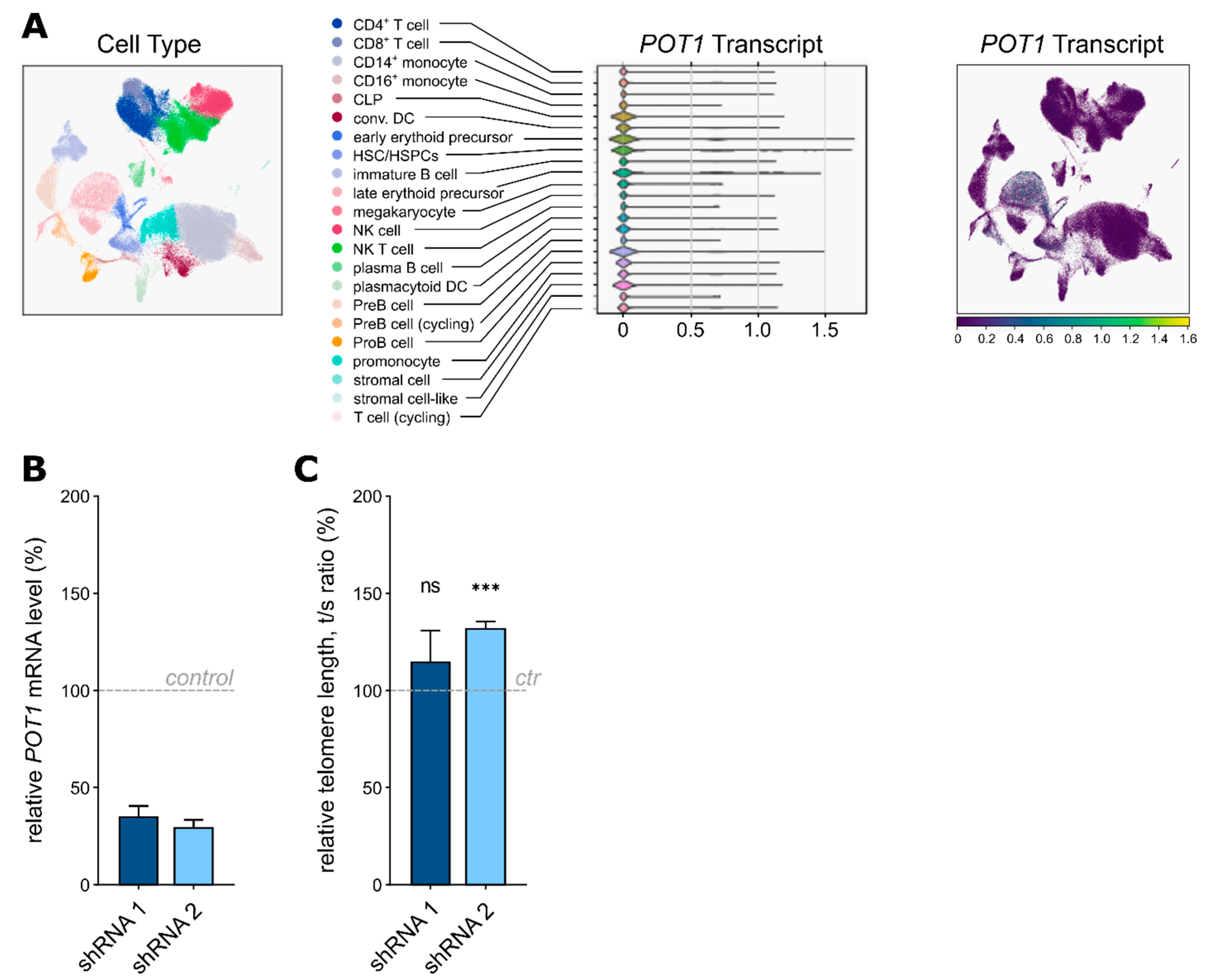 Germline POT1 Deregulation Can Predispose to Myeloid Malignancies in ...