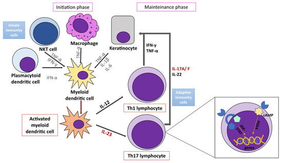 Current Concepts of Psoriasis Immunopathogenesis